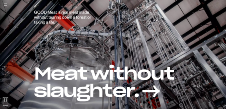 Storytelling Websites: Captivate, Engage, and Inspire